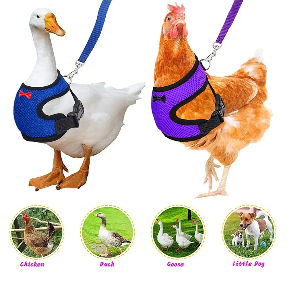Adjustable Chicken & Duck Harness Leash - Breathable Small Pet Vest for ...