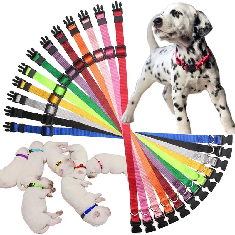 12 Pack Puppy Whelping ID Collars - Soft Nylon, Adjustable, Breakaway ...
