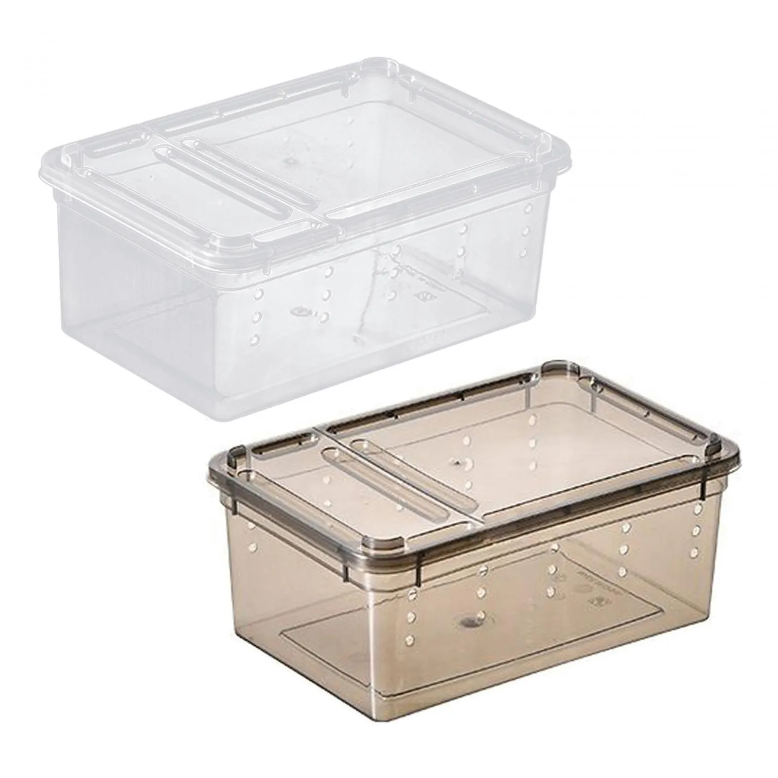 Reptile Feeding Box Turtle Transport Container For Snails Silkworm From ...