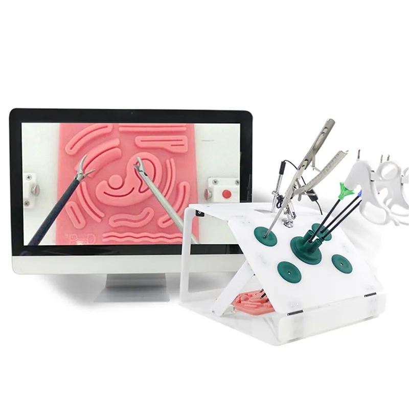 30° Laparoscopic Surgical Endoscope With Forceps For Intestinal Suture ...