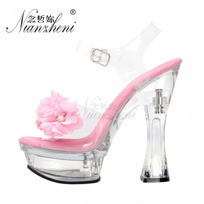 Stripper Dance Heels: 14cm Platform Sandals for Exotic Dance ...
