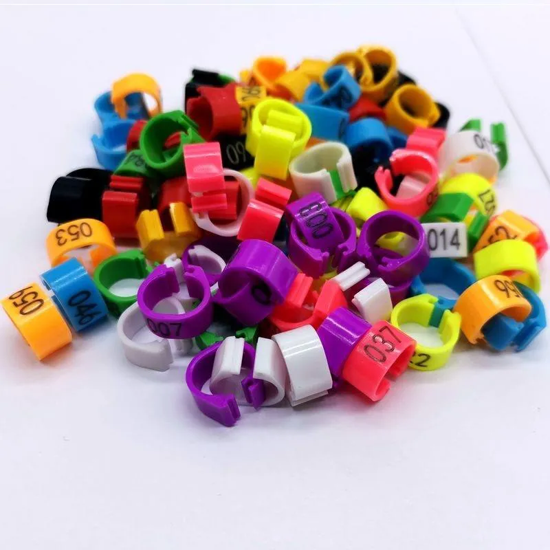 20 Pack Colorful Open Chicken Leg Bands with Lettering - Poultry ...