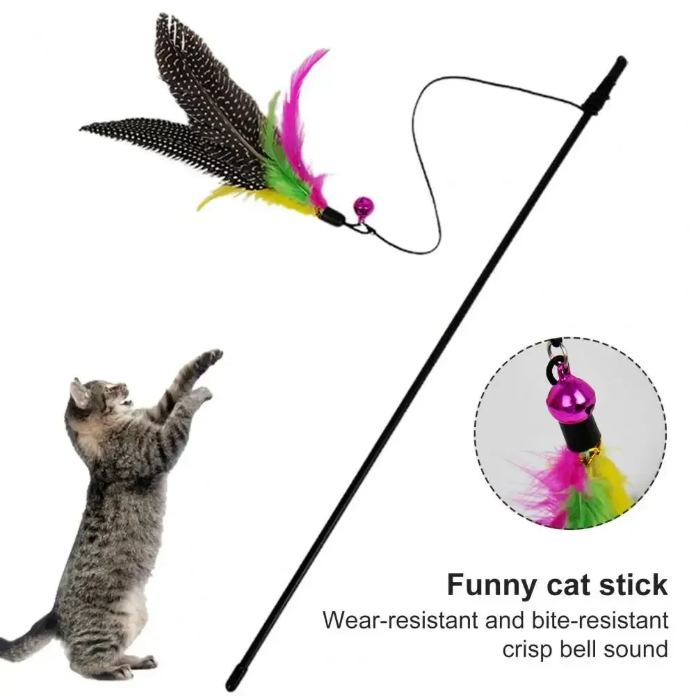 Interactive Cat Teaser Toy with Feather & Bell - Shop Now! Funny Kitten ...