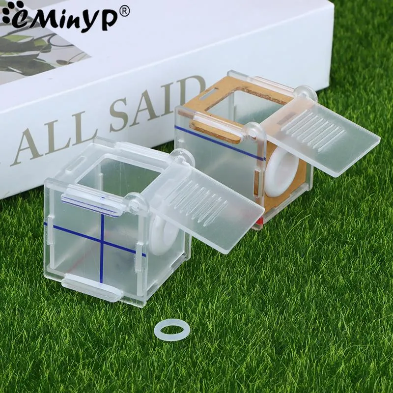 DIY Ant Farm Kit - 15/18mm Acrylic Test Tube Nest, Feeding Box ...