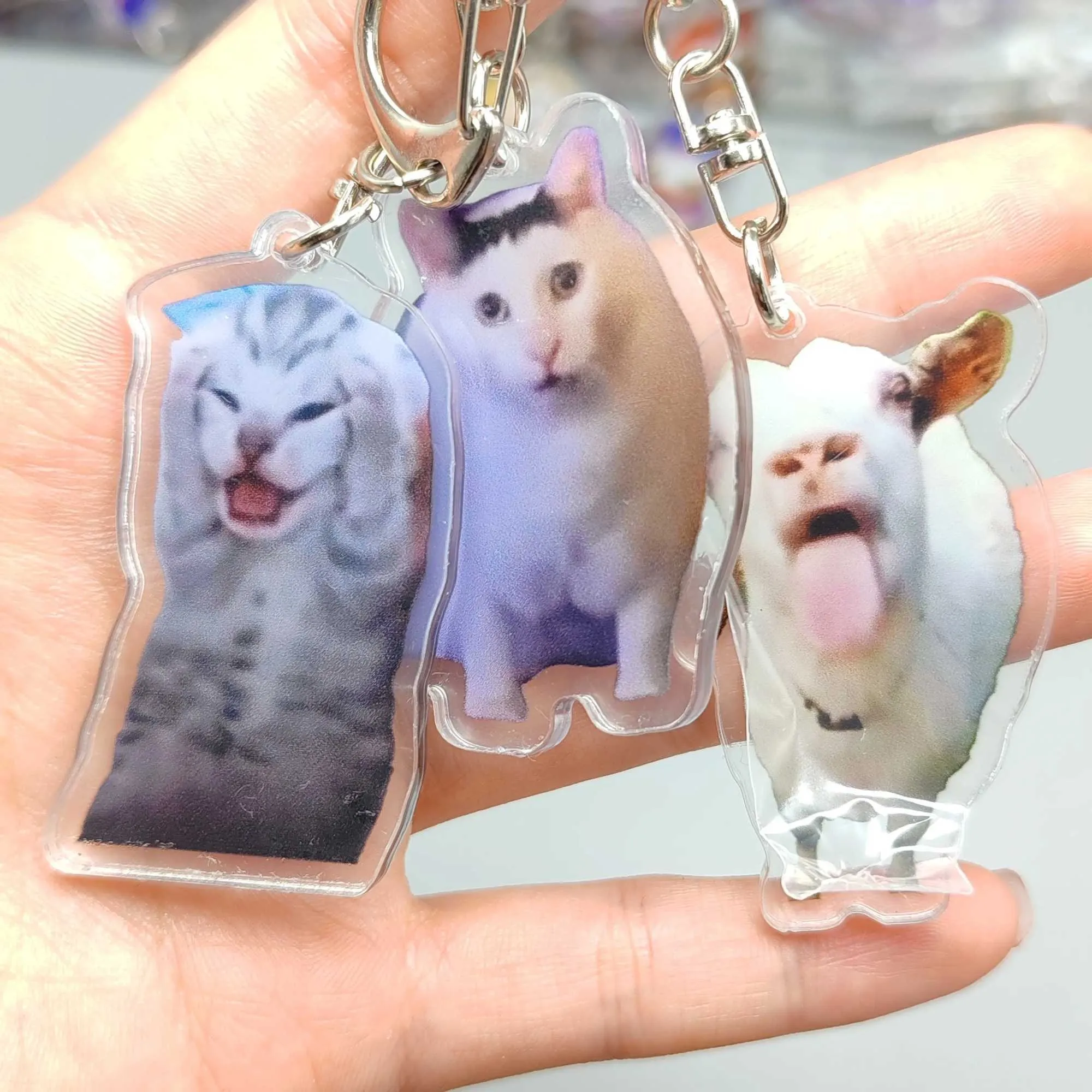 Cute Gift For Friends: Rambling Goat Huh Cat Meme Resin Photo Keychain ...