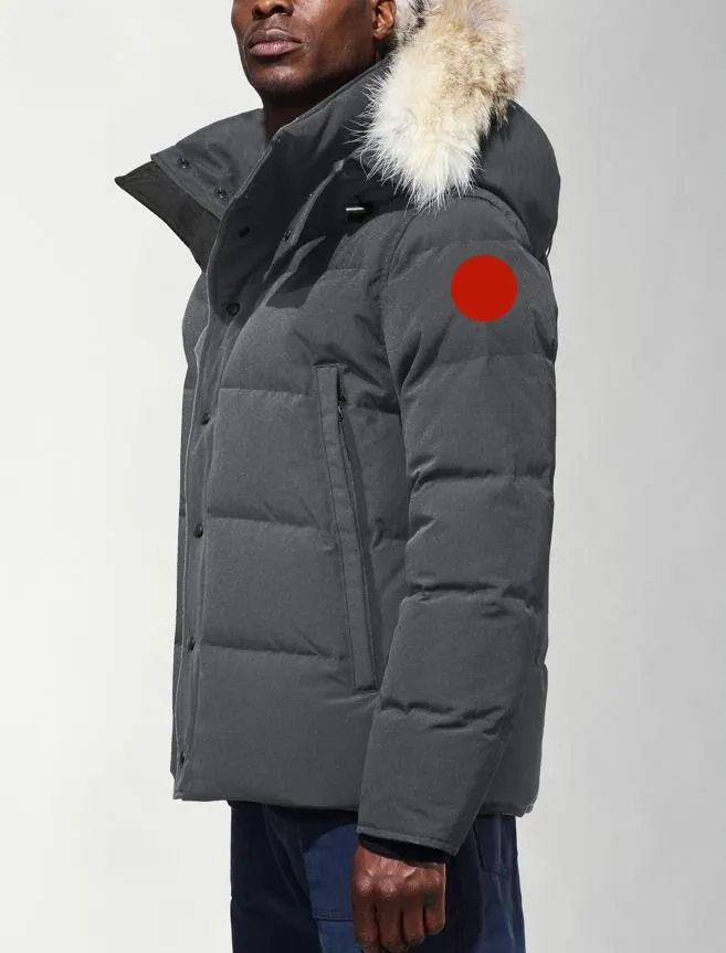 Canadian Feather Puffer Down Grey Puffer Jacket Designer Men's Grey ...