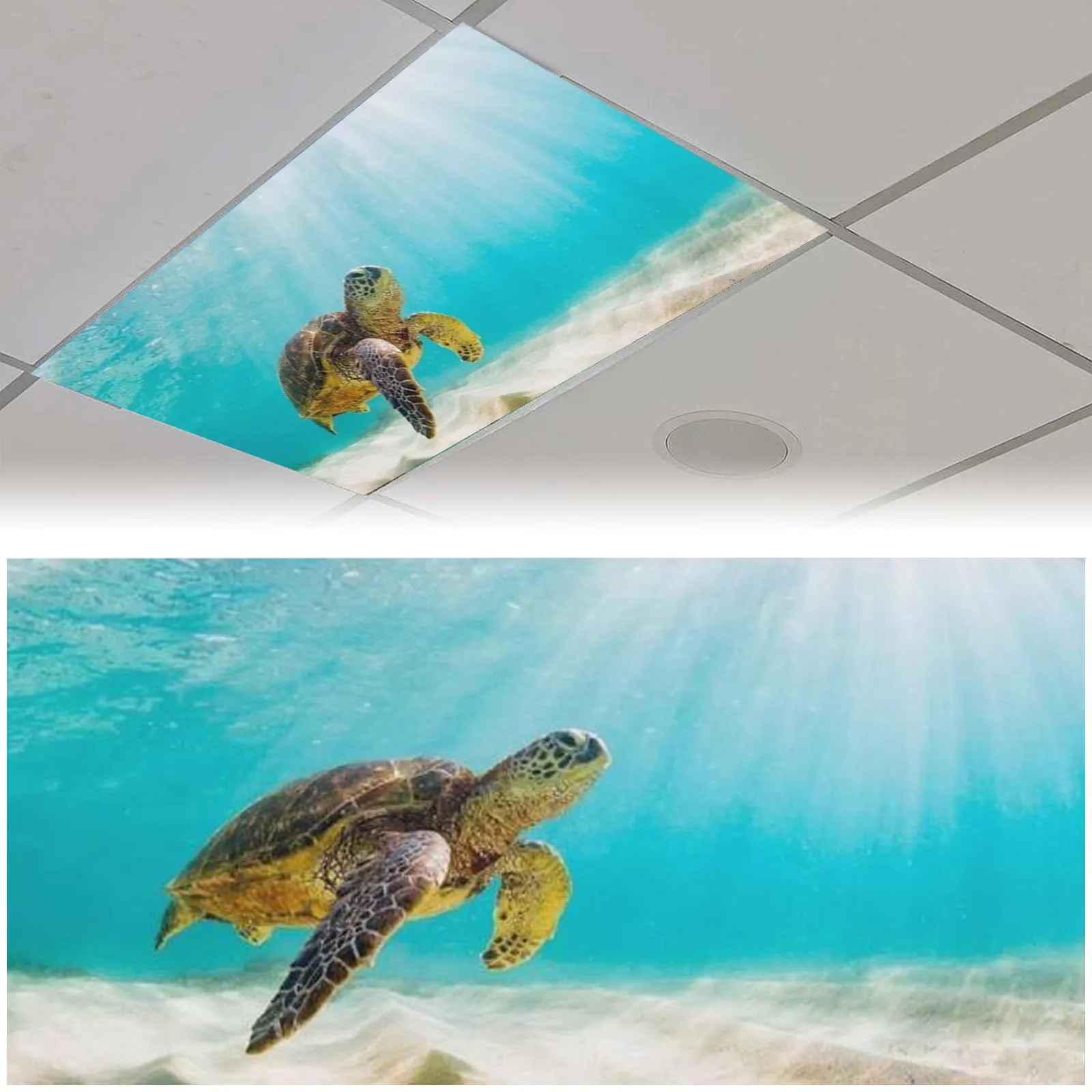 Galapagos Sea Turtles Magnetic Ceiling Light Filter Covers 2x4 Feet For ...