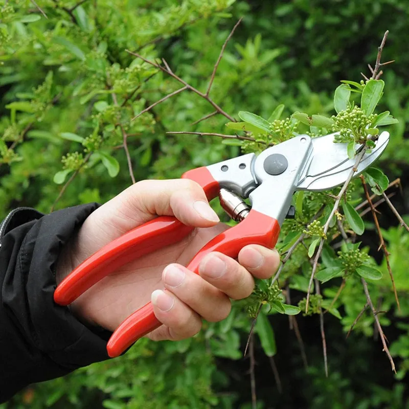 Premium Gardening Hand Tools - High-Quality Precision Set for ...