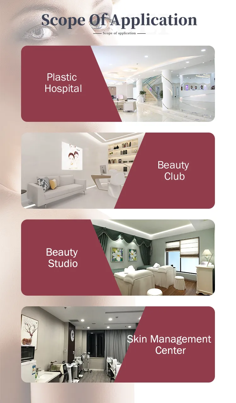 Diode Laser Epilation Machine: 3 In 1 OPT, Nd Yag Laser For Hair ...