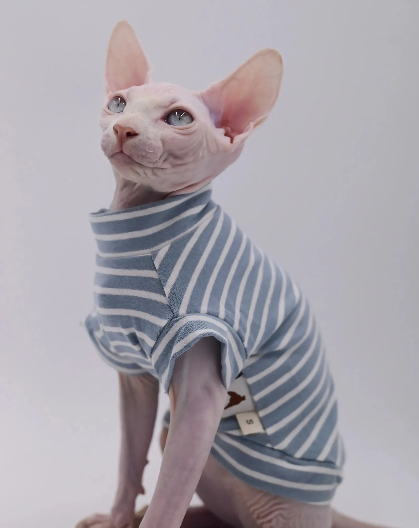 Sphynx Cat Winter Clothes Sphynx Warm Cat Clothes Hairless Cat ...