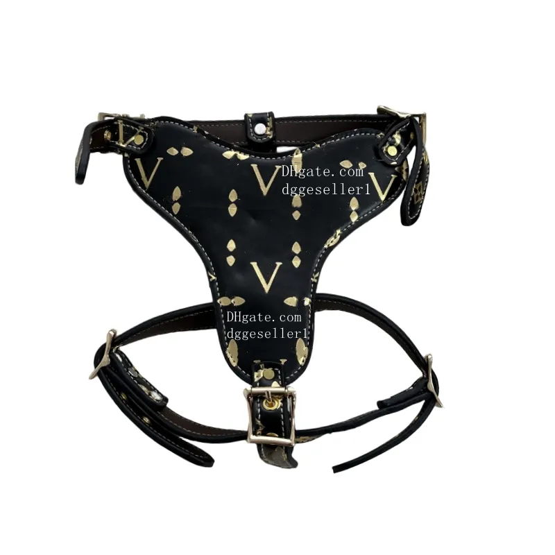 Designer Dog Harness Leash Set Classic Letter Leather Dog Collars ...