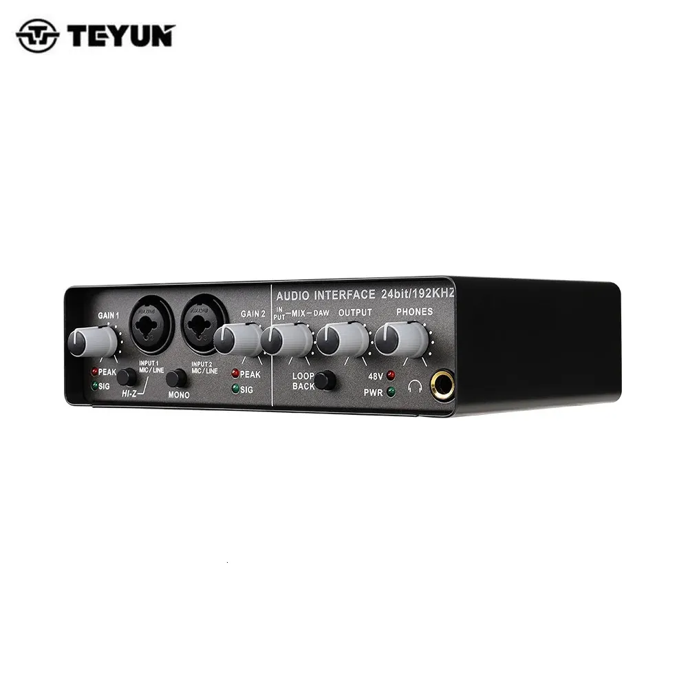 Professional Audio Sound Card - Electric Guitar Monitor, Recording ...