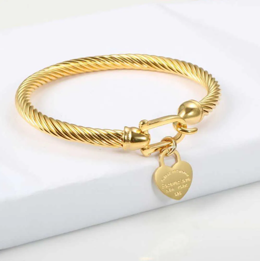 Gold Cable Wire Bangle Bracelet - Titanium Steel, Love Heart Charm ...