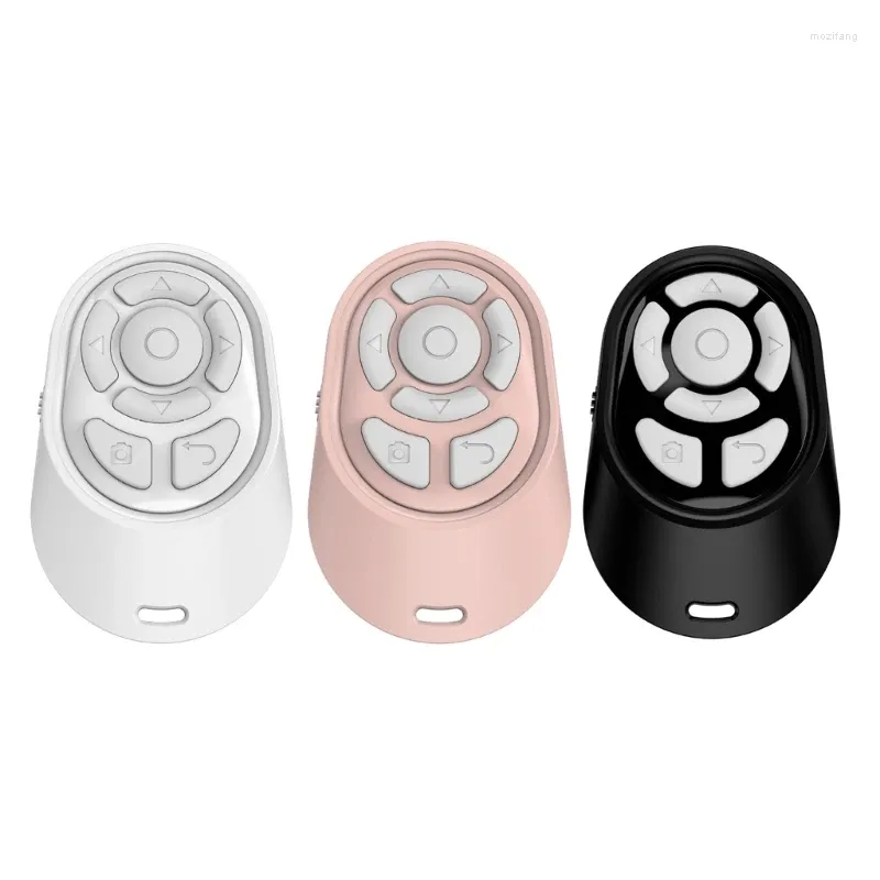 Wireless Presentation Clicker - PPT Remote Control, Presenter Pointer ...