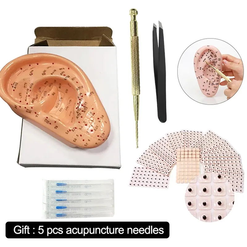 Ear Spoon Acupuncture Model Set: 4 In 1 Auricular Point Locator With ...