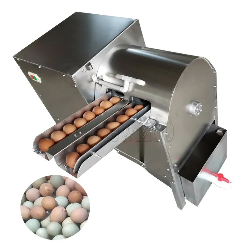 High Volume Egg Washing Machine: Cleans Up To 4000 Eggs/Hr, Efficient ...