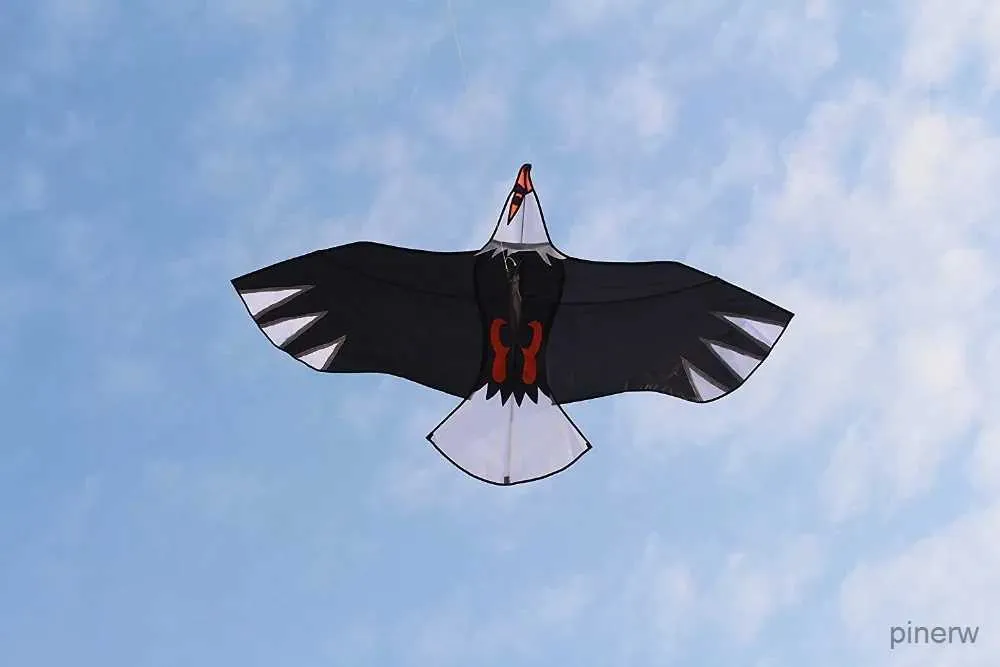 DHgate.com:Power Animal Kite - Outdoor Fun Sports Eagle Kite with ...