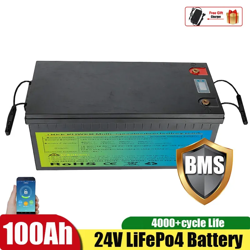 DHgate.com:High-Capacity 24V 100Ah LiFePO4 Battery: Waterproof Lithium ...