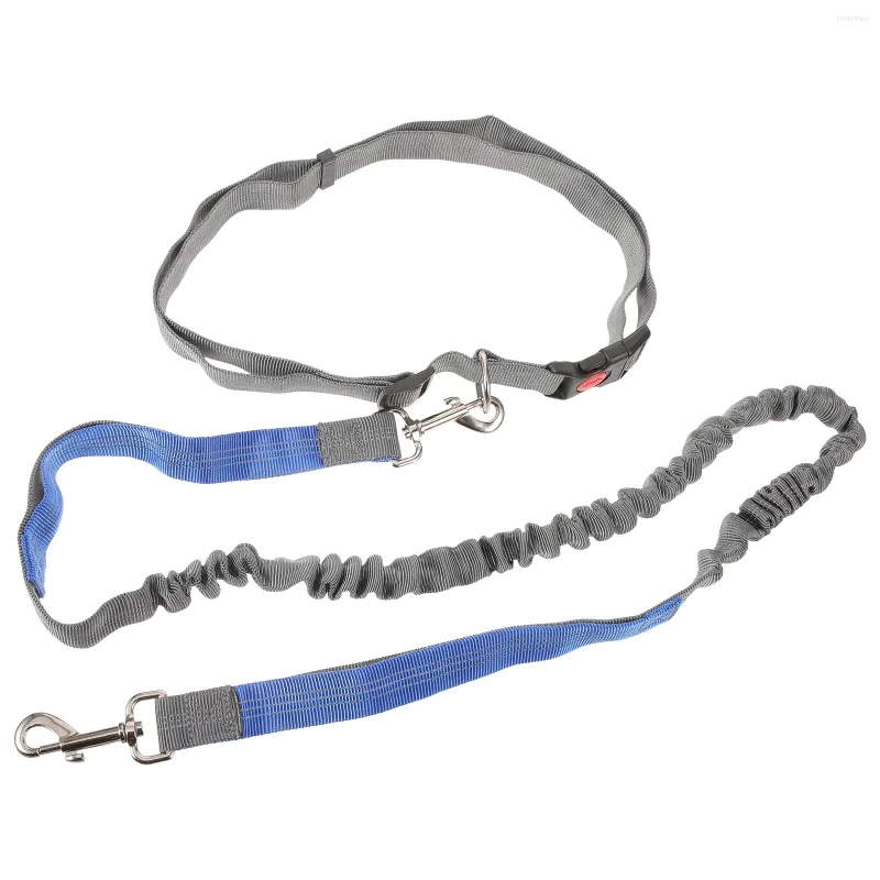 DHgate.com:2024 UpgradedHands Free Dog Leashes with Waist Belt ...