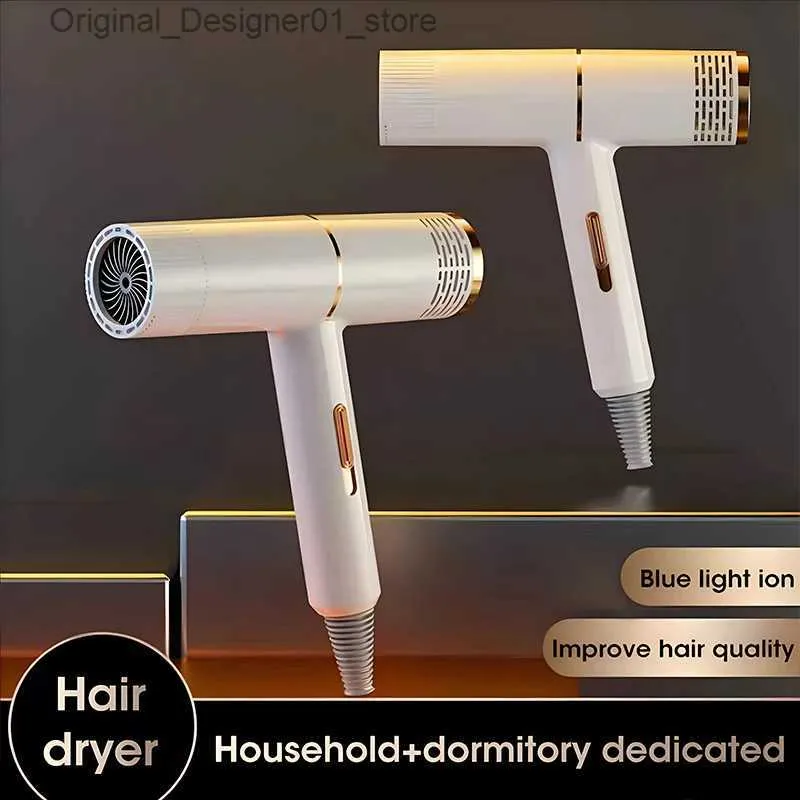 Professional Salon Hair Dryer - Powerful Wind, Hot & Cold Air, Negative ...