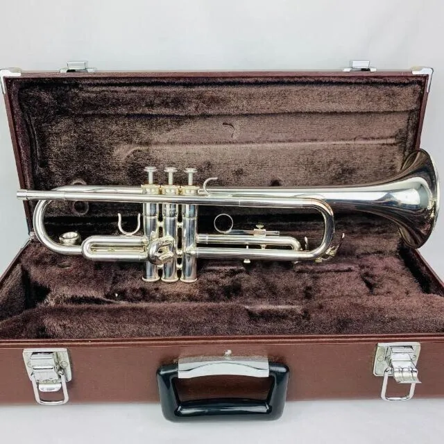 DHgate.com:Professional Silver Trumpet Mouthpiece with Hard Case ...