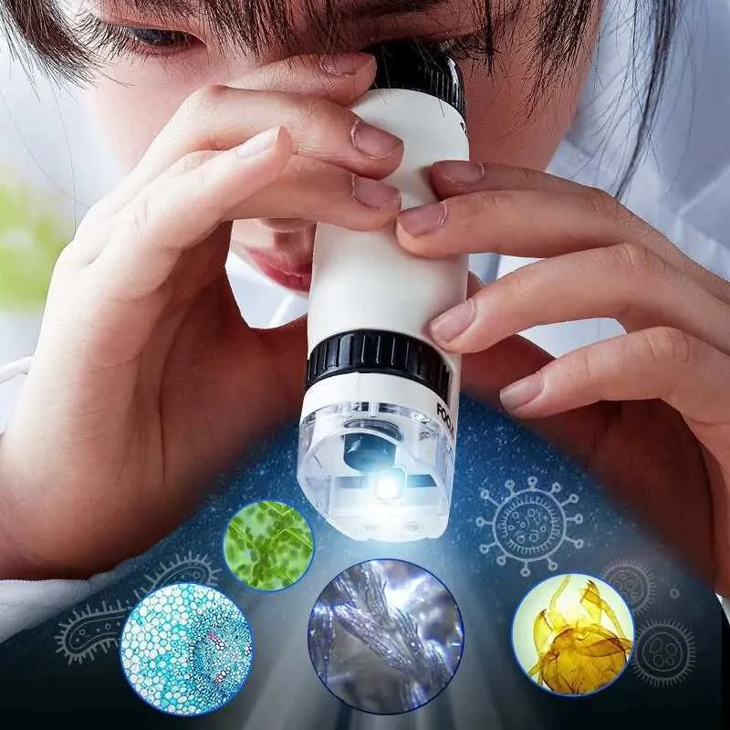 Y240801 Handheld Microscope Kit 60X 120X LED Light... From Early ...