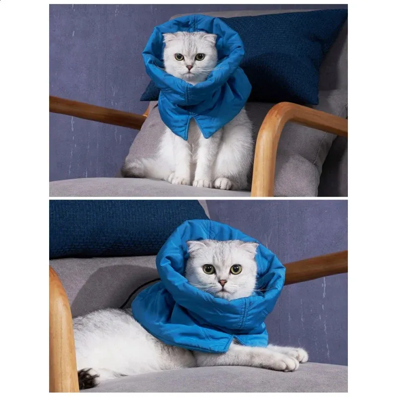 Pet Dog Recovery Collar Round Neck Thick Double-Layered Cotton ...