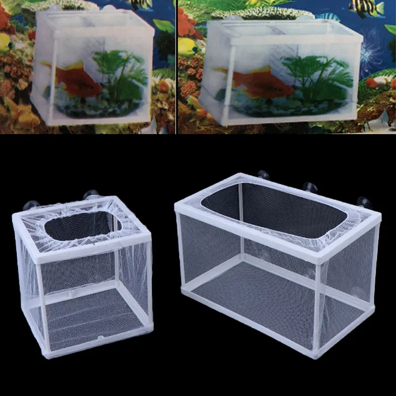 Large Starter Fish Tank With Aquarium, Goldfish, Betta, And Incubator ...