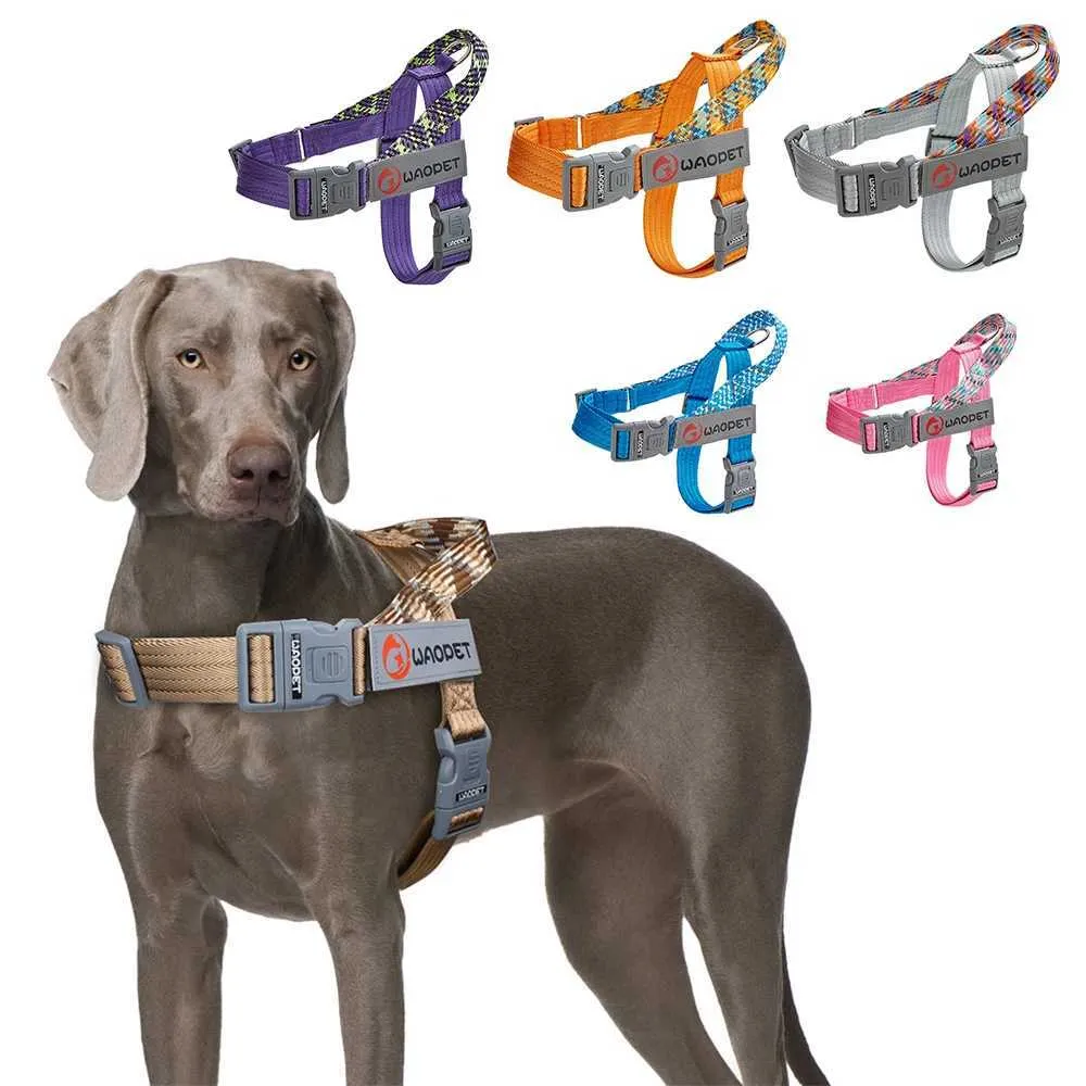 Pet Fashion Multicolor Dog Harnesses for Medium and Large Dogs with ...