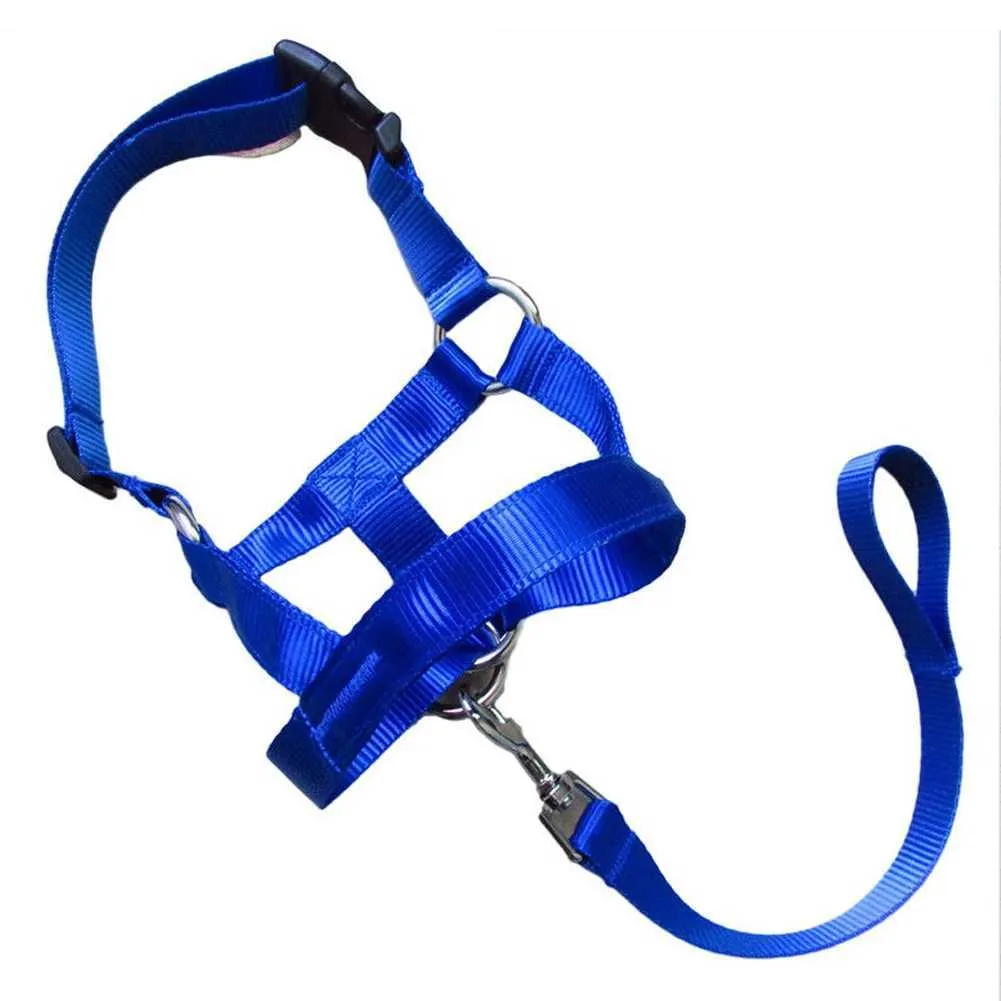 Nylon Gentle Leader Dog Head Collar No-Pull Adjustable Training Leash ...