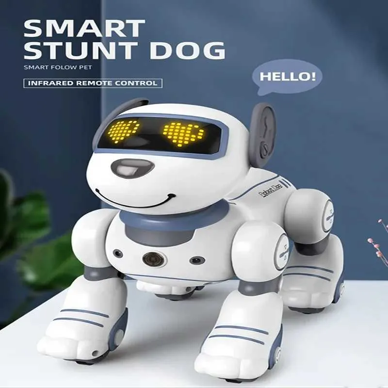Intelligent Touch RC Robot Most Intelligent Dogs Stunt Walking, Dancing ...