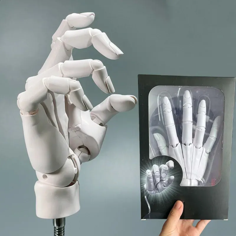 Real Skeleton Hand Jointed Figure: Movable Model For Drawing, Jewelry ...