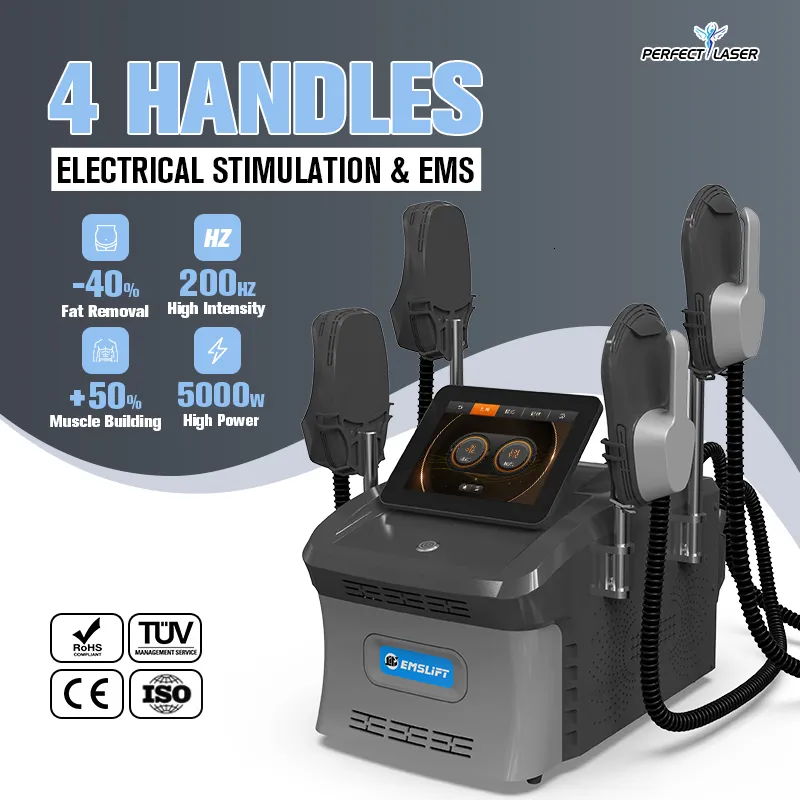 CE FDA Approved RF Skin Tightening & Weight Loss way back machine with ...