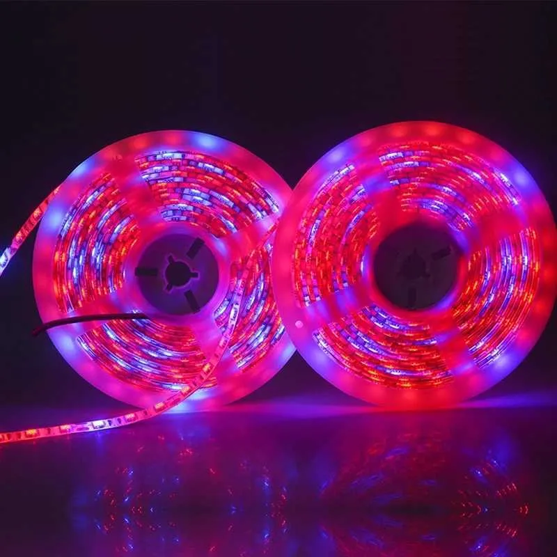 Full Spectrum LED Grow Light Strip - 5M, 12V, Perfect for Indoor Plants ...