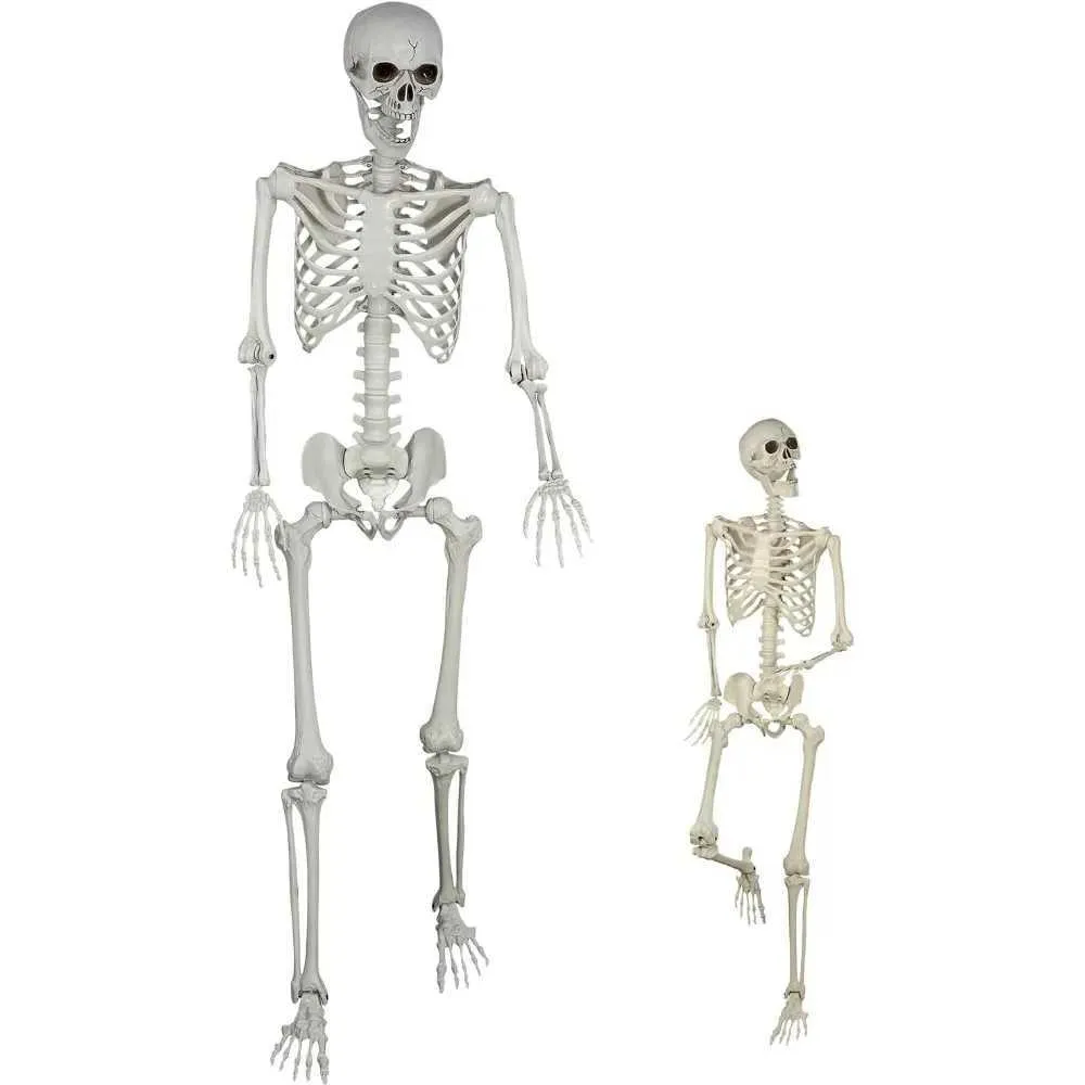 Halloween Full Body Skeletons 2Packs Poseable Life Size Skeletons ...