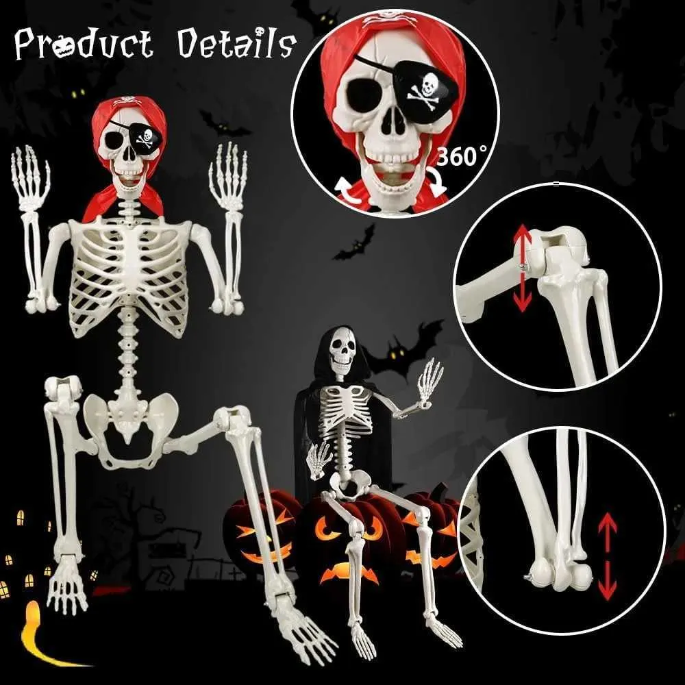 Human Skeleton Details - Infoupdate.org