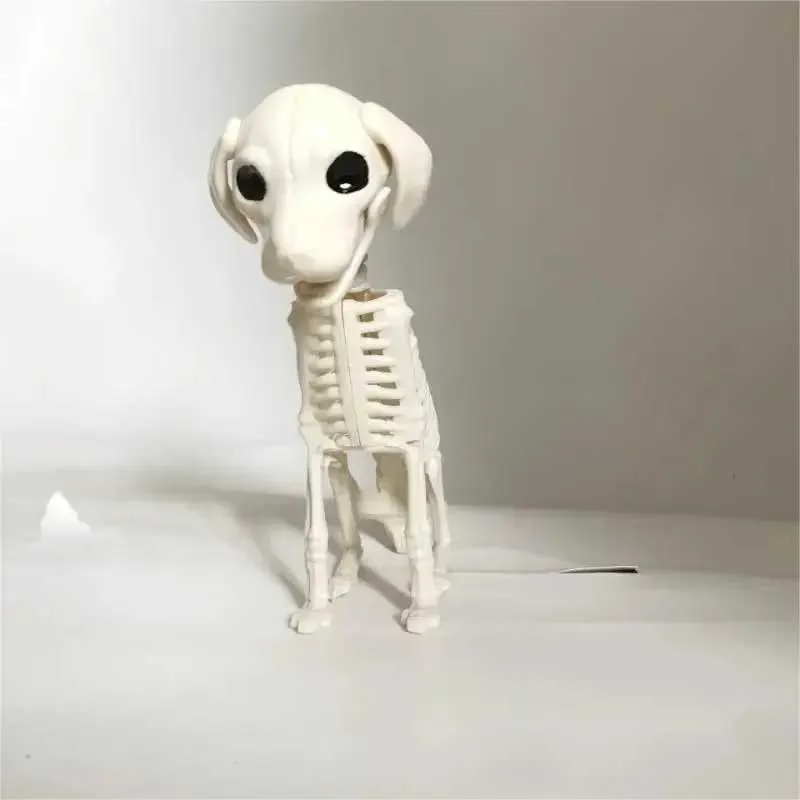 JOYIN Dog Skeleton For Halloween Decoration Posable Joints Skeleton ...