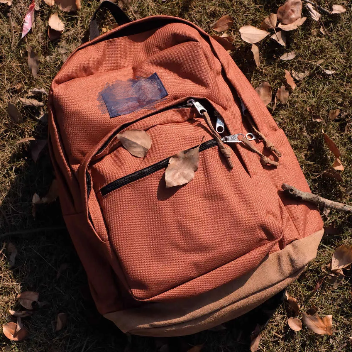 Cactus Jack Backpack Schoolbag, Waterproof Canvas Laptop Backpack for ...
