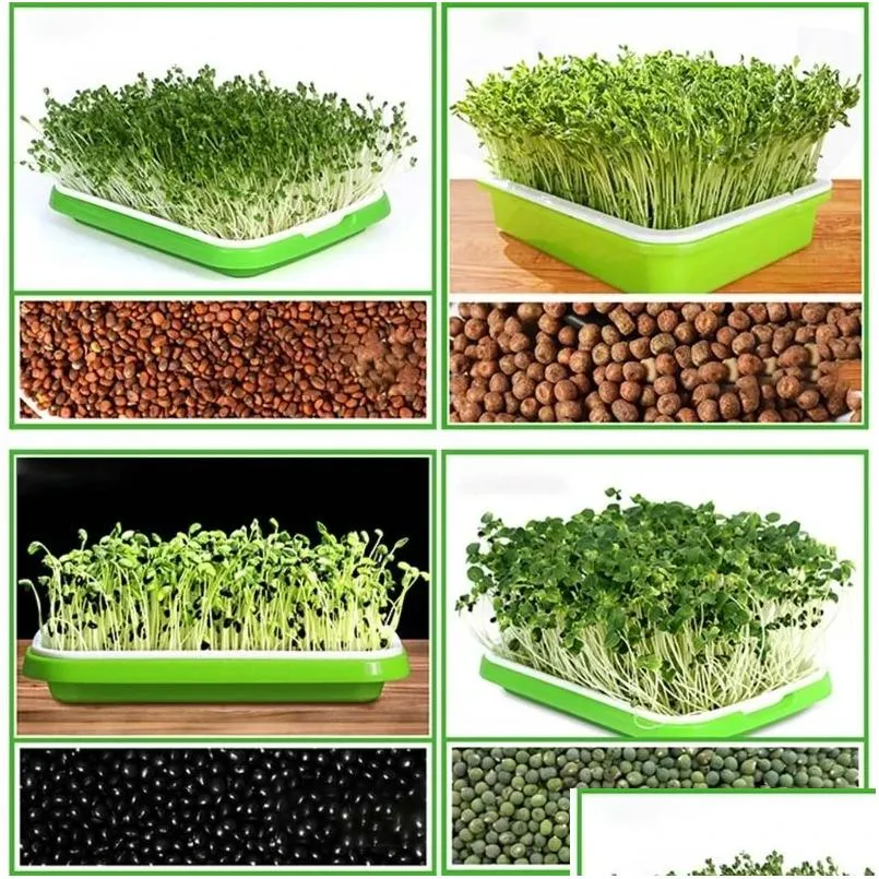 Large Capacity Wheatgrass Grower With Seed Sprouter Seedling Trays ...