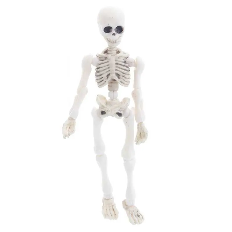 Poseable Plastic Mini Skeletons: Human Model Figurine Full Body Anatomy ...