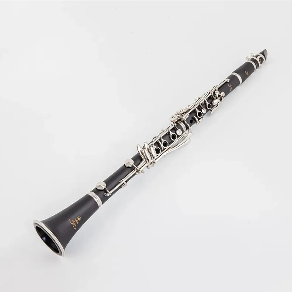 Professional Bb Clarinet - 17 Keys, Premium Woodwind Instrument, Shop ...
