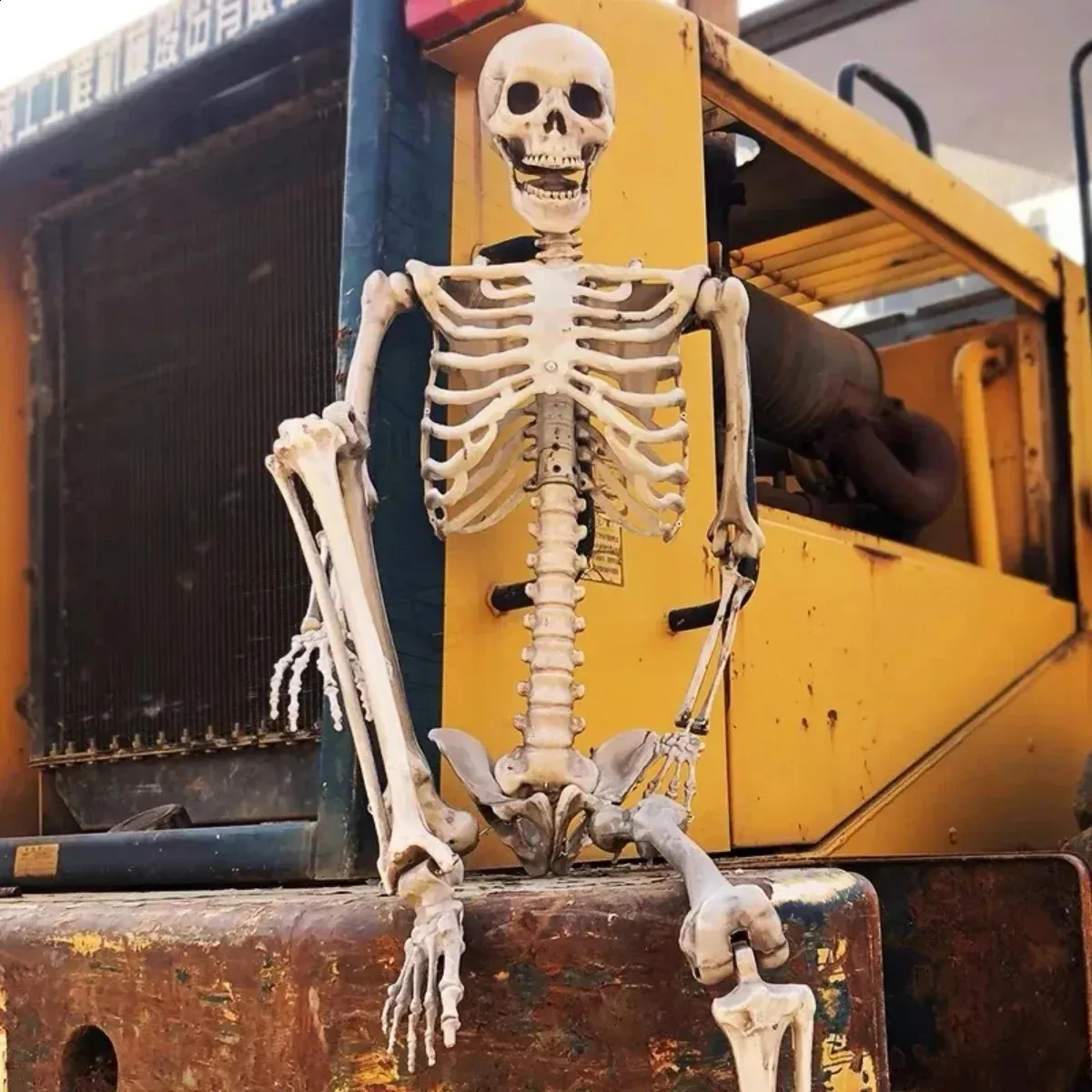 Halloween Reality 5.4ft Full Skeleton Life Size Human... From ...