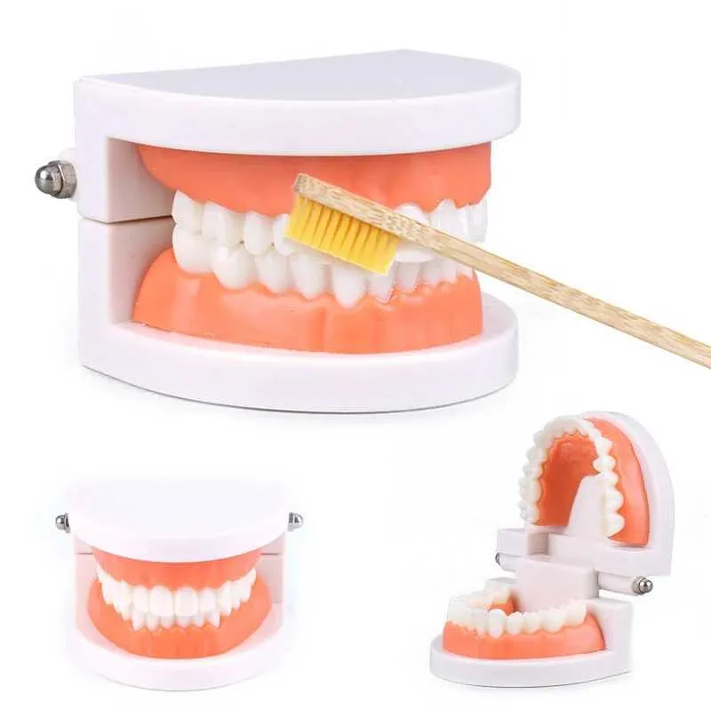 Dentist Toys Teeth Model: Oral Hygiene Education Tool With Wooden ...