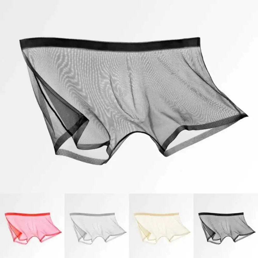 Mens Transparent Ice Silk Boxer Briefs With Bulge Detail Sexy Low Waist ...
