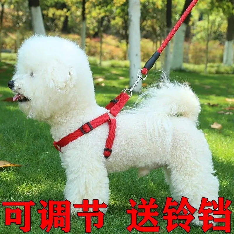 Adjustable Gold Fur Dog Leash Around Nose 2m To 3m Lengths For Large ...