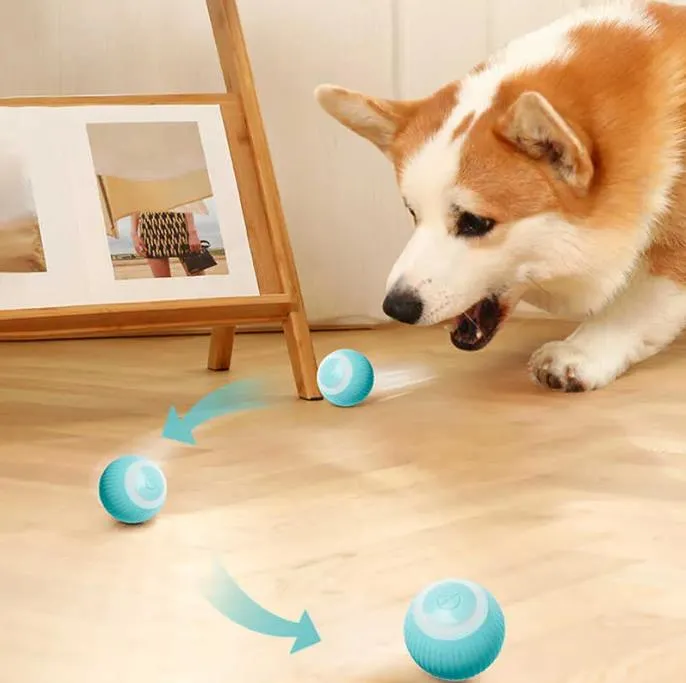 DHgate.com:Interactive Pet Rolling Ball Toy - Automatic Motion, Durable ...