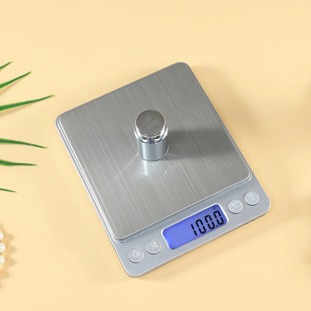 Precise 1000g/0.1g Portable Digital Scale: Mini Pocket Size, Perfect ...