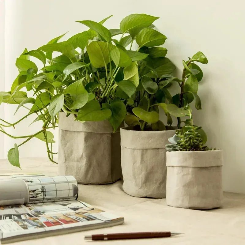 Multifunctional Reusable Kraft Paper Flowerpot - Creative Desktop ...