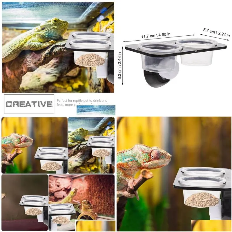 DHgate.com:Pet-Friendly Reptile Habitat Accessories: Durable Gecko Dish ...