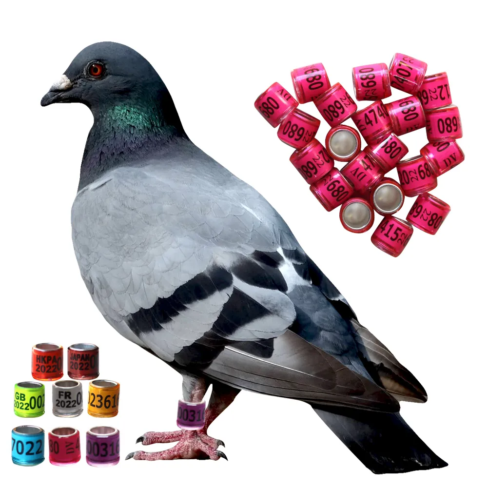 Aluminum Foot Ring For Bird, Parrot, And Pigeon Numbered Outdoor Flight ...